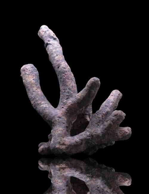 Cornerstone Reef Rock And Branch | Neptune Aquatics, Inc.